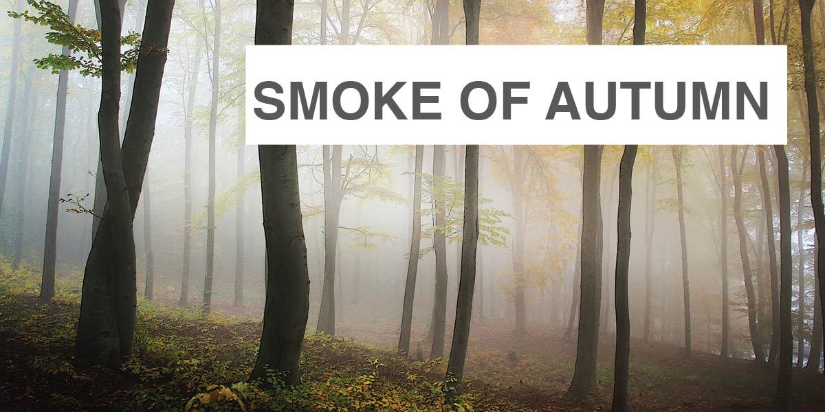 MusicSpoke | Artist Owned Sheet Music™ | Scores starting at $2