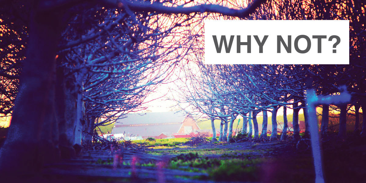 MusicSpoke | Artist Owned Sheet Music™ | Scores starting at $2