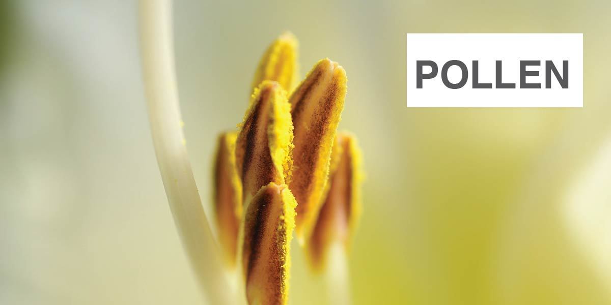 MusicSpoke | Artist Owned Sheet Music™ | Scores starting at $2