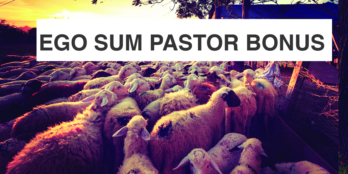 MusicSpoke | Artist Owned Sheet Music™ | Scores starting at $2