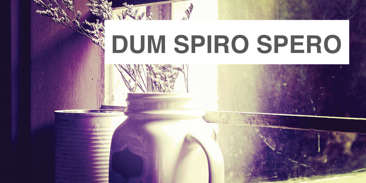 MusicSpoke | Artist Owned Sheet Music™ | Scores starting at $2