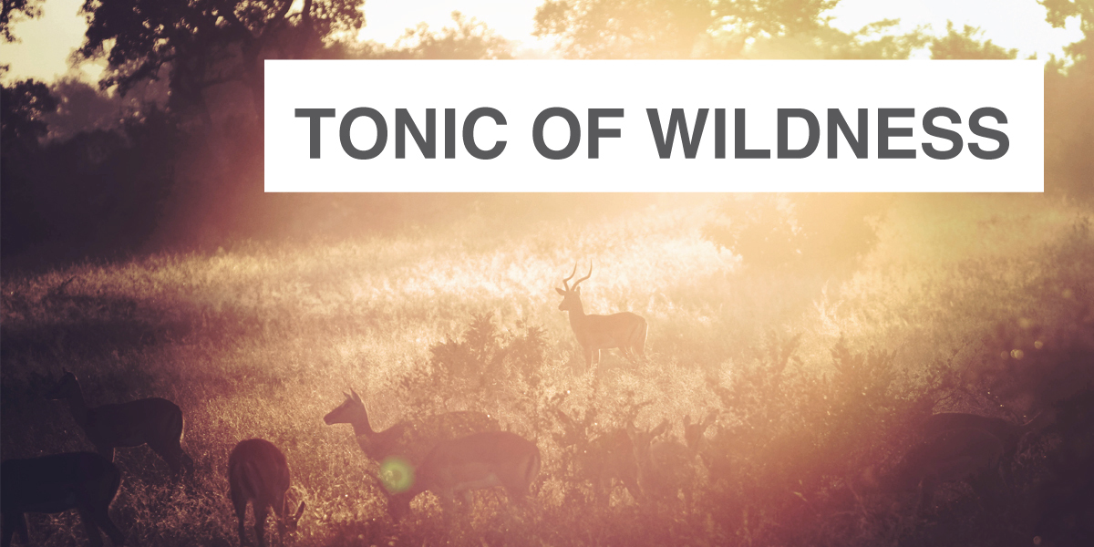 MusicSpoke | Artist Owned Sheet Music™ | Scores starting at $2