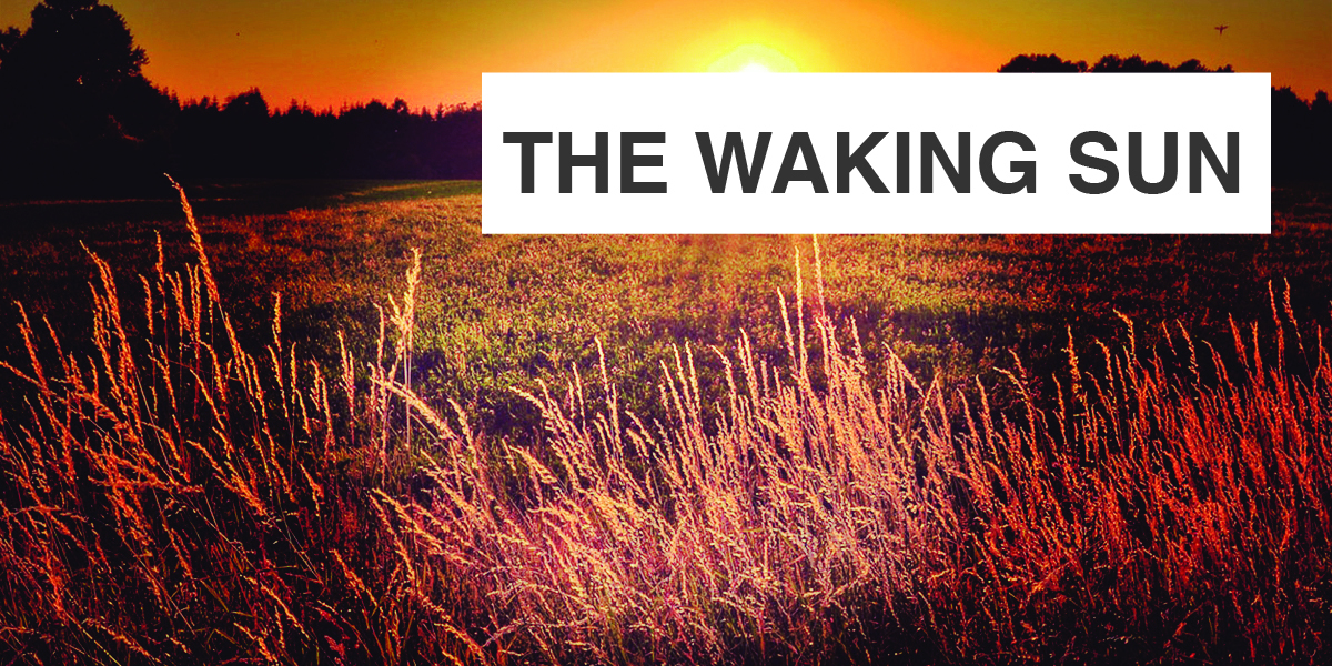 MusicSpoke | Artist Owned Sheet Music™ | Scores starting at $2