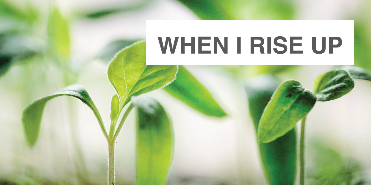 MusicSpoke | Artist Owned Sheet Music™ | Scores starting at $2