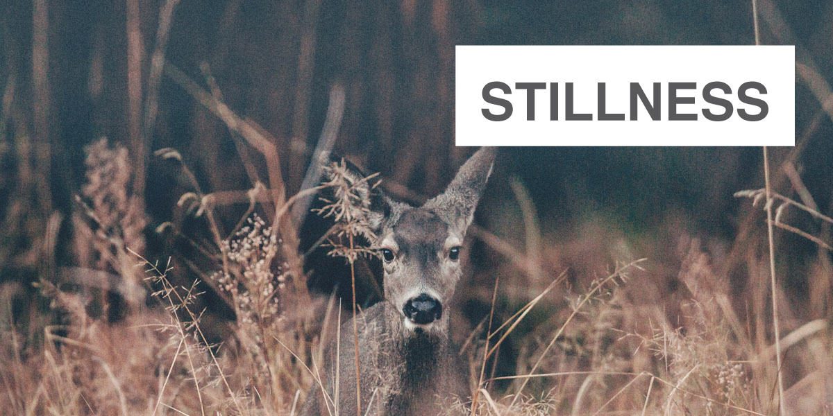 MusicSpoke | Artist Owned Sheet Music™ | Scores starting at $2