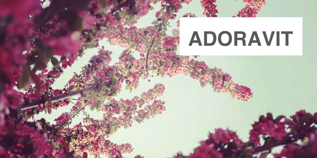 MusicSpoke | Artist Owned Sheet Music™ | Scores starting at $2