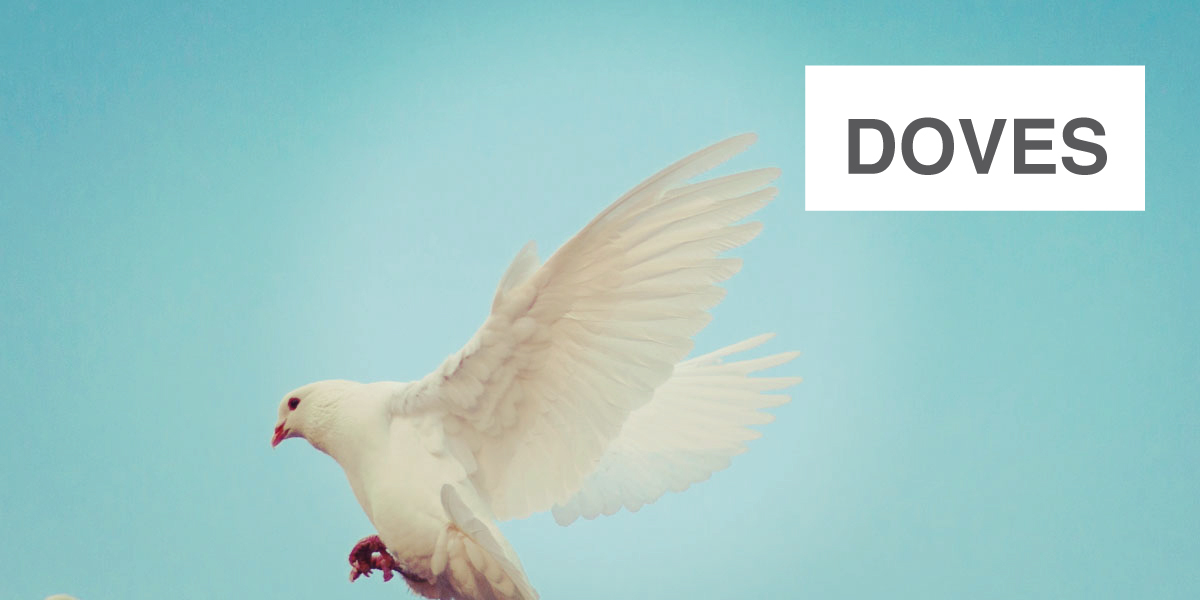 MusicSpoke | Artist Owned Sheet Music™ | Scores starting at $2