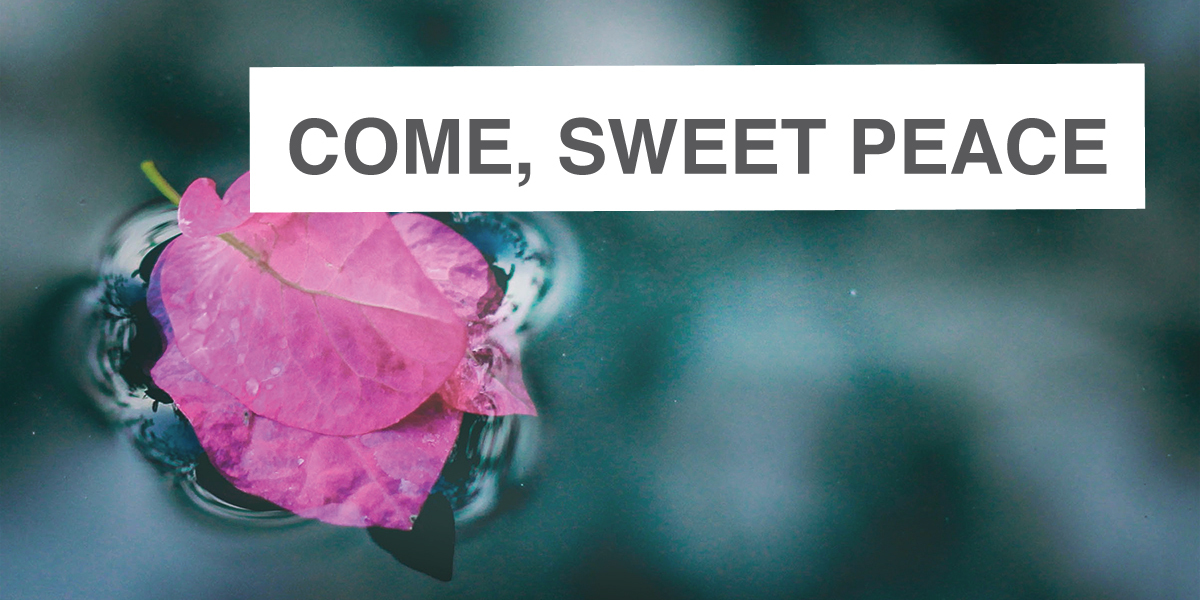 MusicSpoke | Artist Owned Sheet Music™ | Scores starting at $2