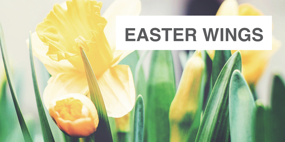 MusicSpoke | Artist Owned Sheet Music™ | Scores starting at $2