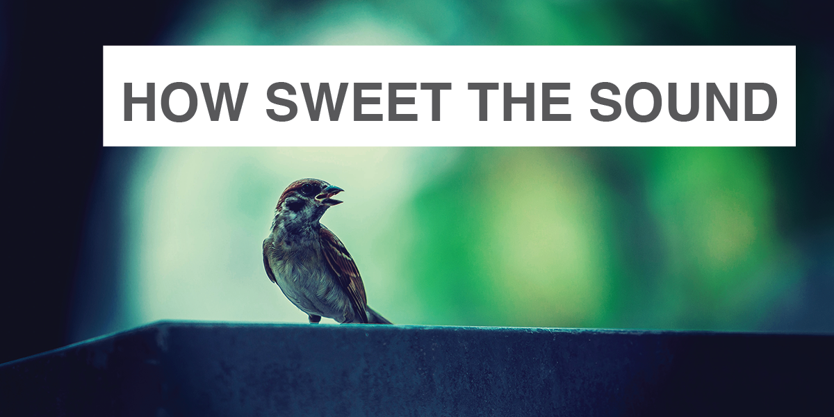 MusicSpoke | Artist Owned Sheet Music™ | Scores starting at $2