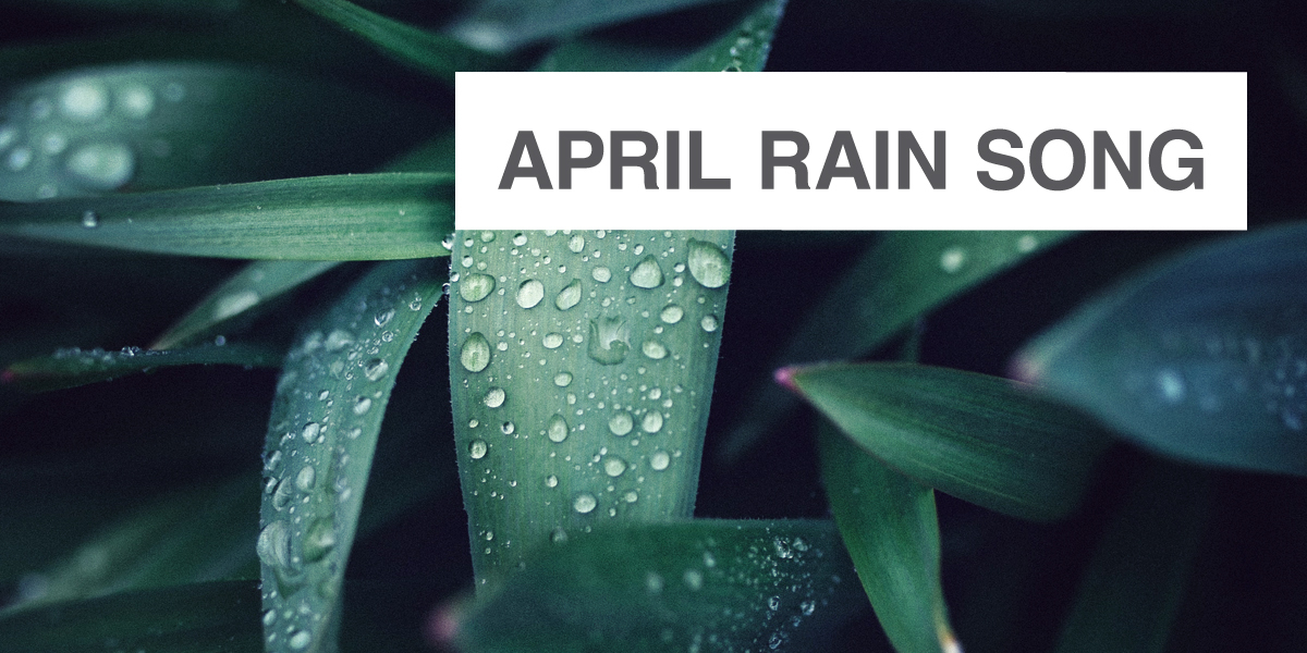 MusicSpoke | Artist Owned Sheet Music™ | Scores starting at $2