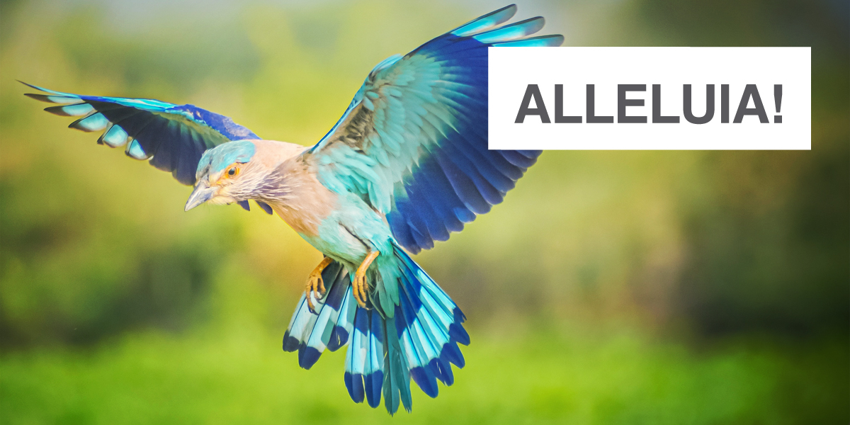 MusicSpoke | Artist Owned Sheet Music™ | Scores starting at $2