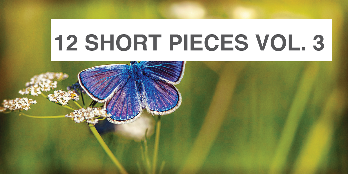 MusicSpoke | Artist Owned Sheet Music™ | Scores starting at $2