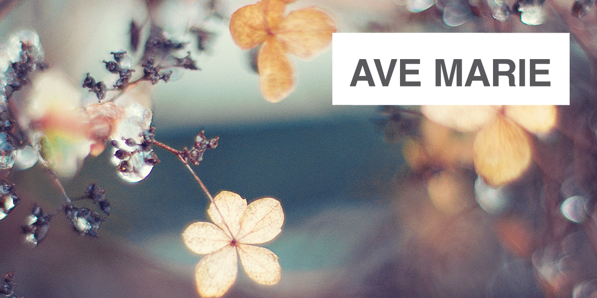 MusicSpoke | Artist Owned Sheet Music™ | Scores starting at $2