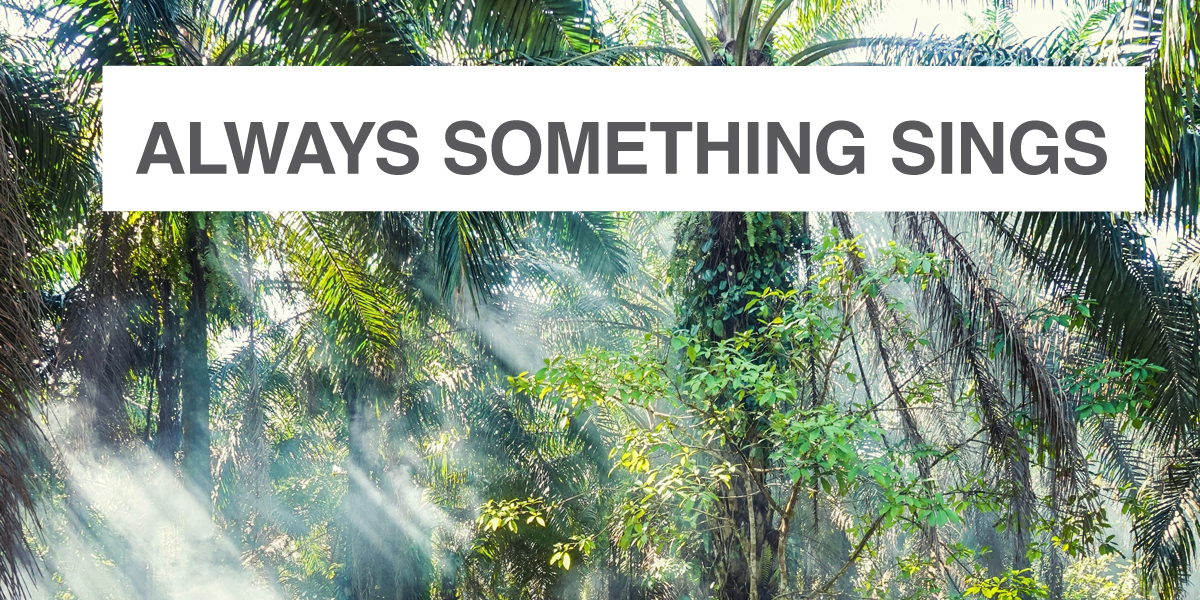 MusicSpoke | Artist Owned Sheet Music™ | Scores starting at $2