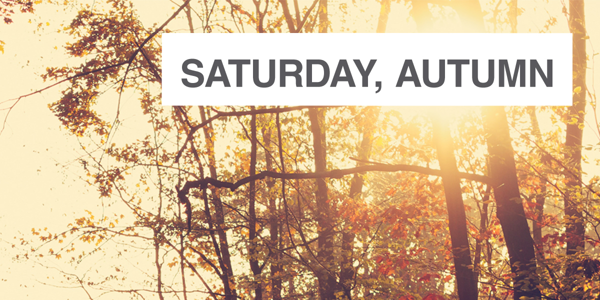 MusicSpoke | Artist Owned Sheet Music™ | Scores starting at $2