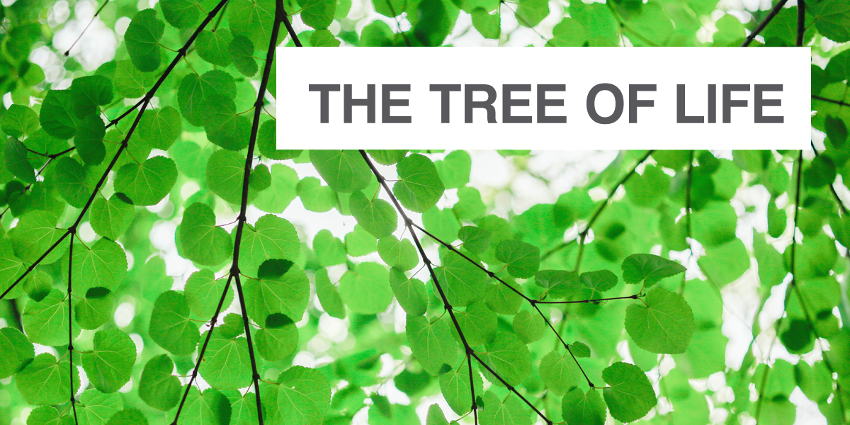 MusicSpoke | Artist Owned Sheet Music™ | Scores starting at $2