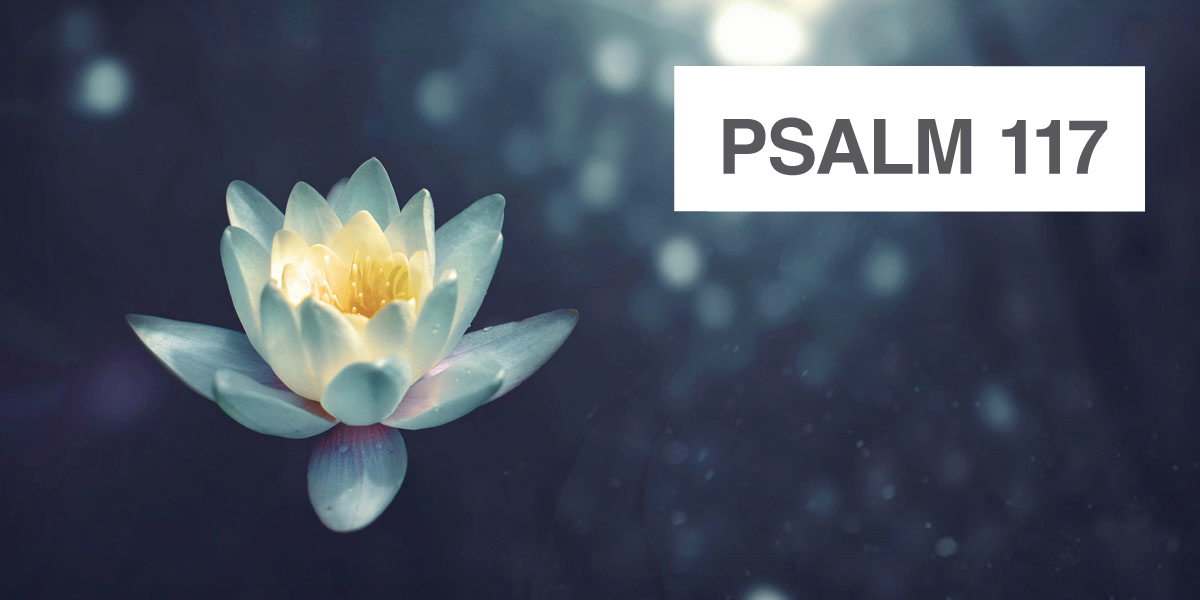 MusicSpoke | Artist Owned Sheet Music™ | Scores starting at $2