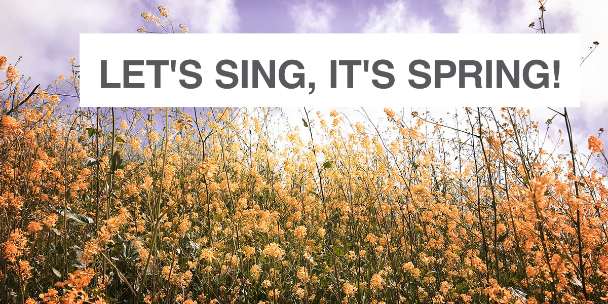 MusicSpoke | Artist Owned Sheet Music™ | Scores starting at $2