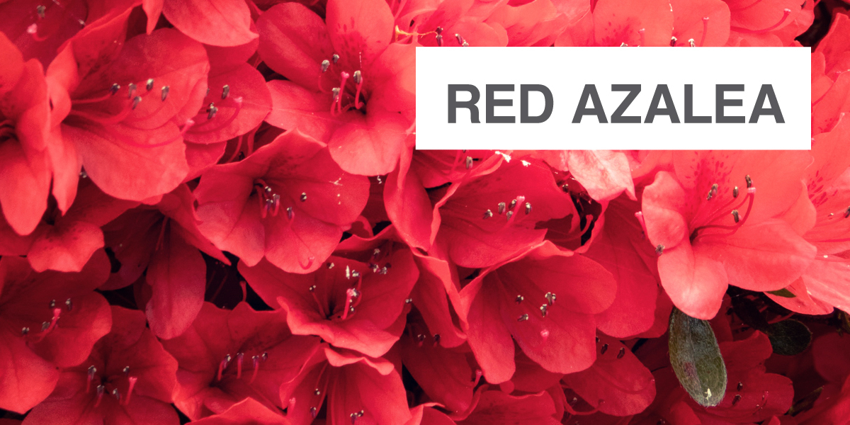 MusicSpoke | Artist Owned Sheet Music™ | Scores starting at $2