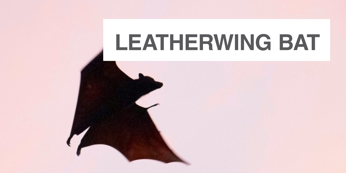 MusicSpoke | Artist Owned Sheet Music™ | Scores starting at $2