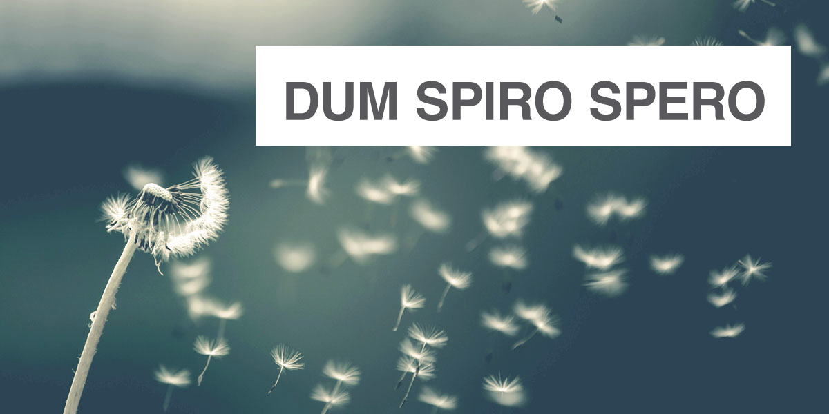 MusicSpoke | Artist Owned Sheet Music™ | Scores starting at $2