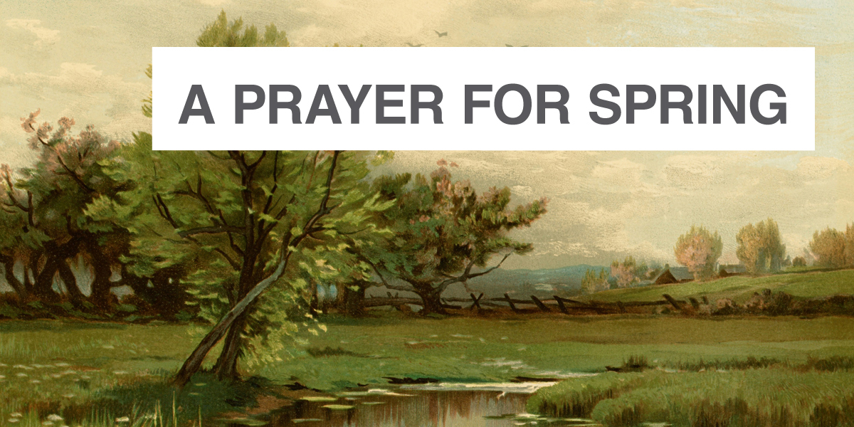 MusicSpoke | Artist Owned Sheet Music™ | Scores starting at $2