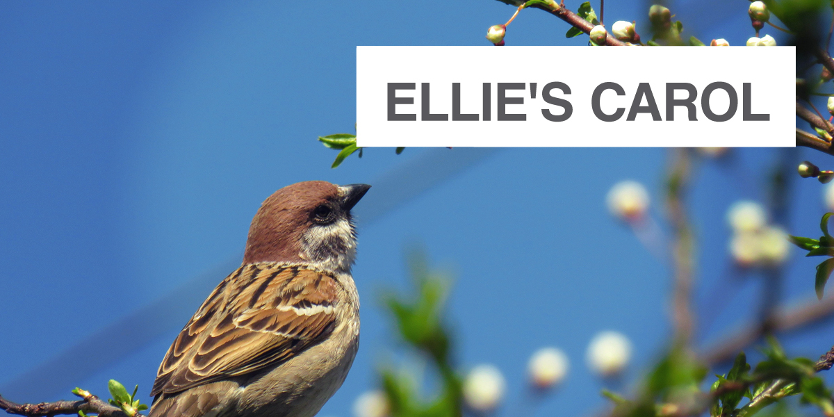 MusicSpoke | Artist Owned Sheet Music™ | Scores starting at $2